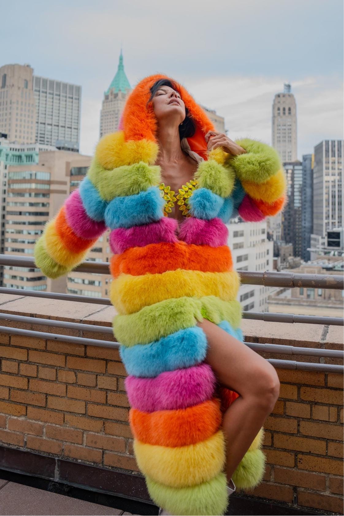 Over the Rainbow Faux Fur Coat - Etsy
