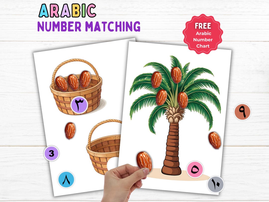 Ramadan Busy Book Number Matching Arabic and English Counting Activity ...