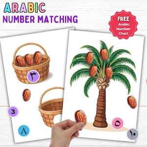 Ramadan Busy Book Number Matching Arabic and English Counting Activity ...