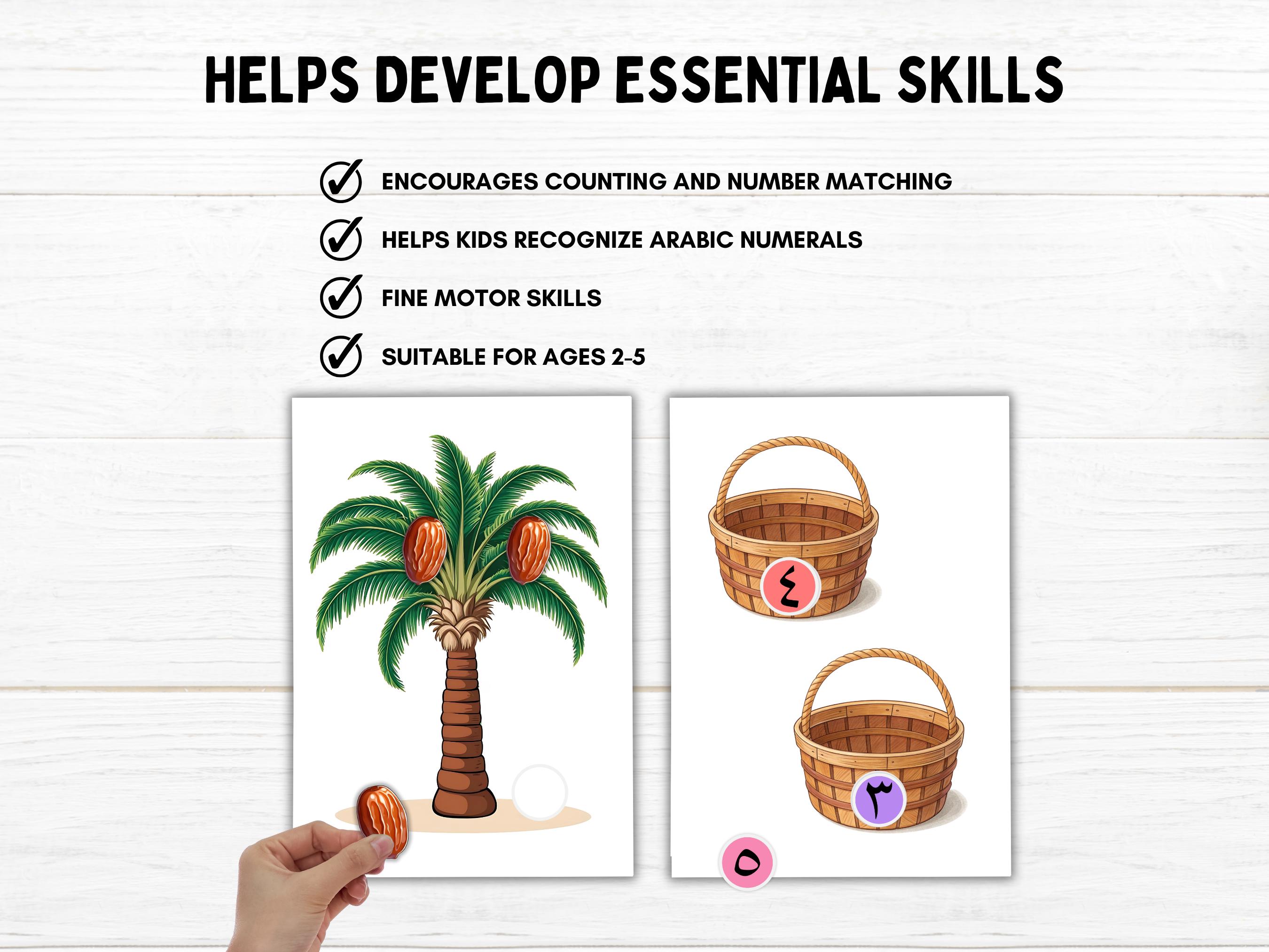 Ramadan Busy Book Number Matching Arabic and English Counting Activity ...