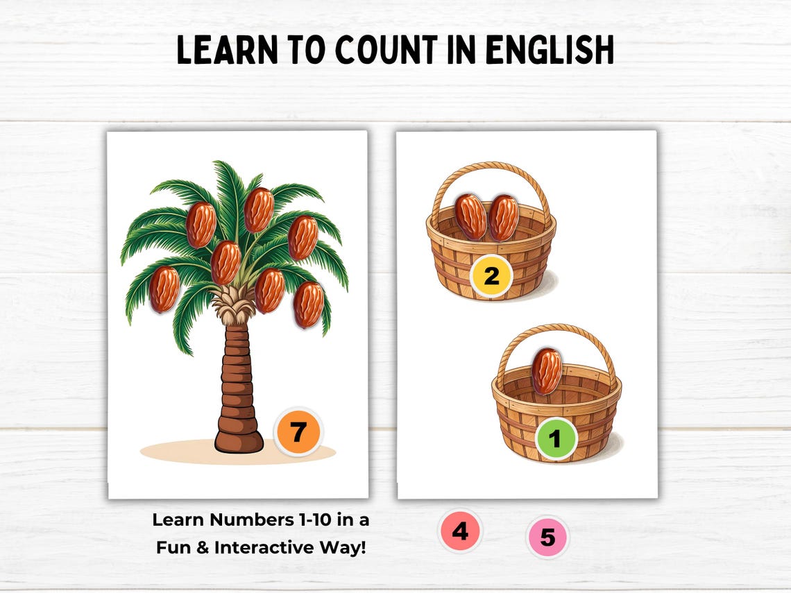 Ramadan Busy Book Number Matching Arabic and English Counting Activity ...
