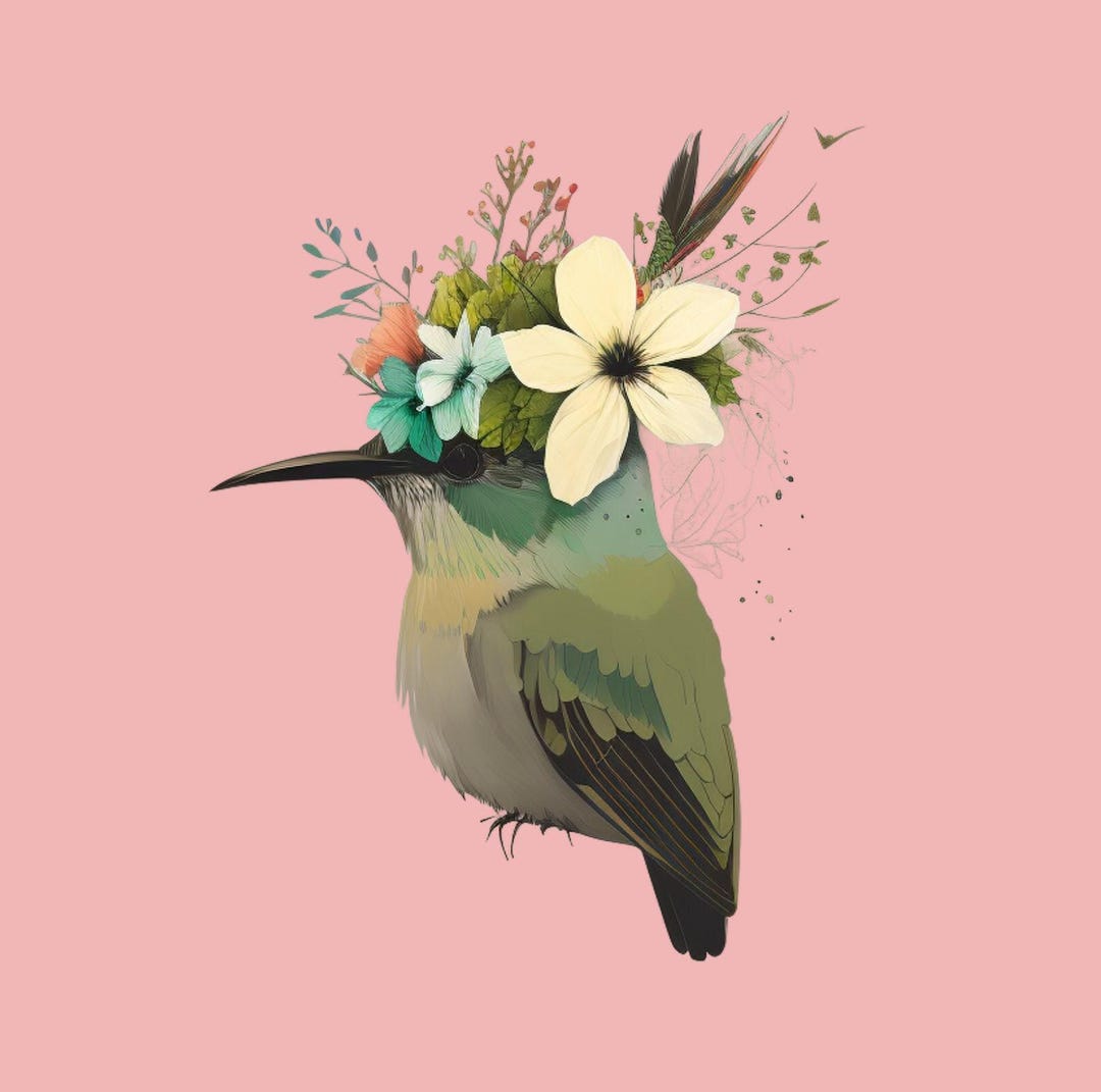 Hummingbird Paint by Numbers Kit, Floral Bird Art, DIY Home Decor - Etsy