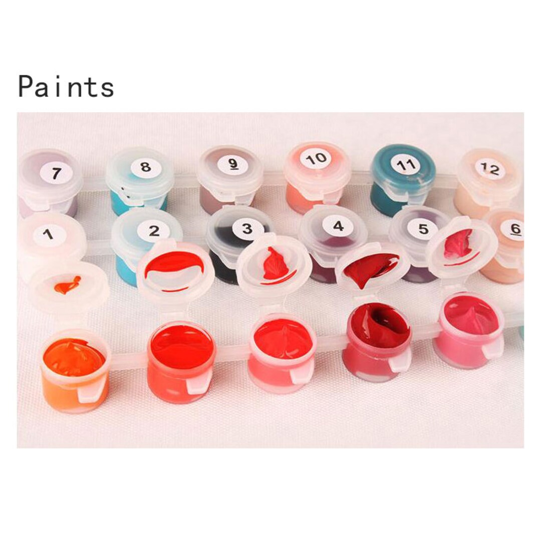 1 Extra Acrylic Paint Set for Your Chosen Paint by Numbers Pack - Etsy