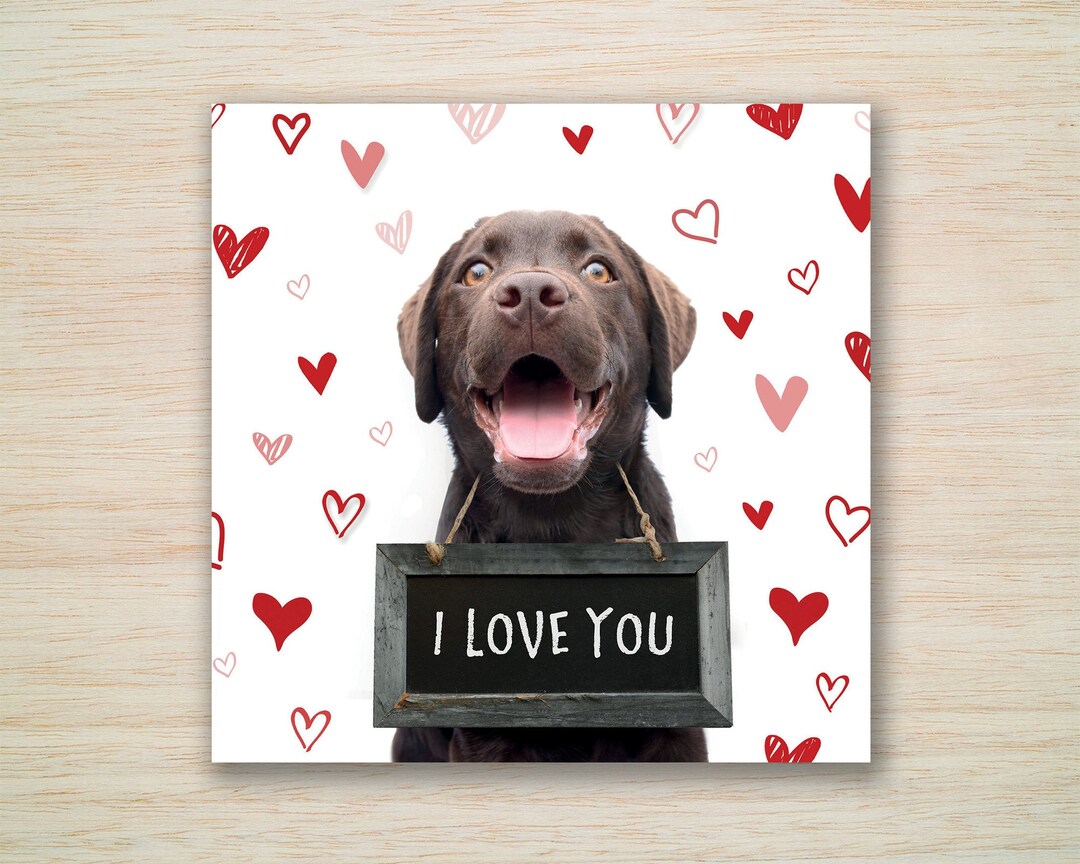 Chocolate Labrador Valentine's Day Card Chocolate Lab Valentines Day ...