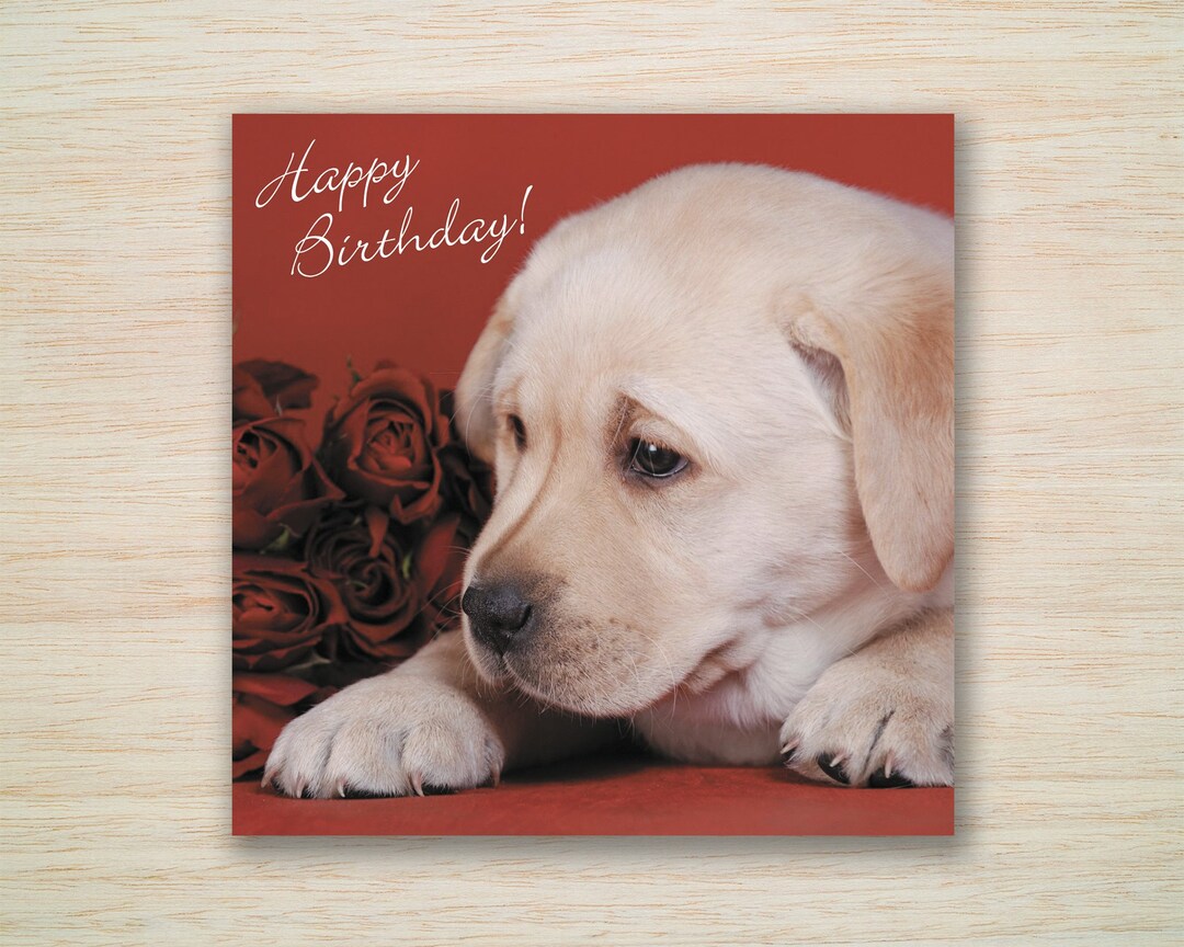 Yellow Labrador Birthday Card Birthday Card Yellow Labrador Puppy With ...