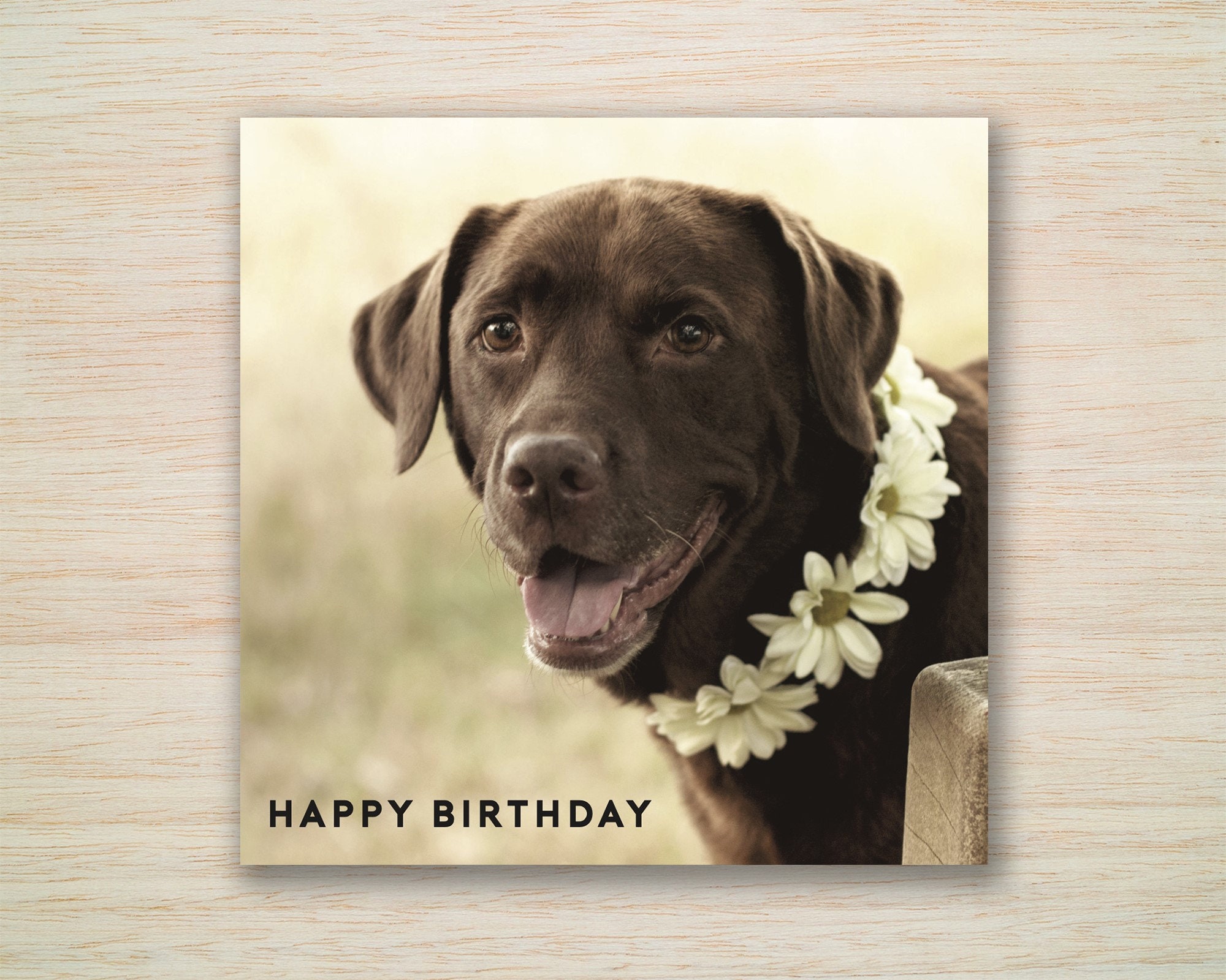 Chocolate Labrador Birthday Card Brown Labrador Birthday Card Dog ...