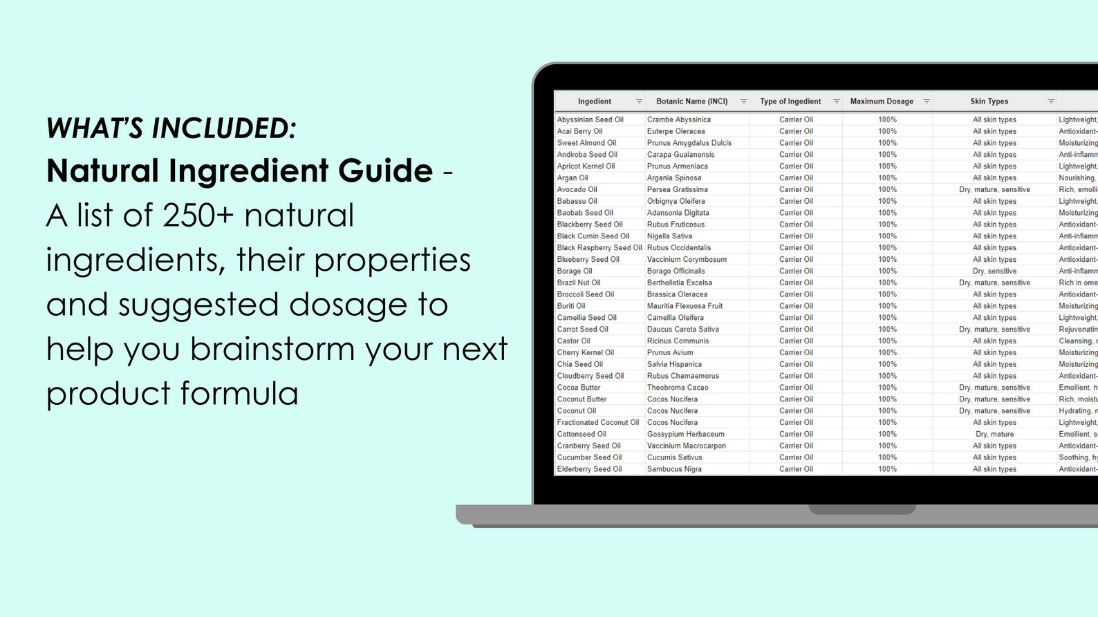 Cosmetic Product Information File (PIF) Template: UK & Europe Skincare ...