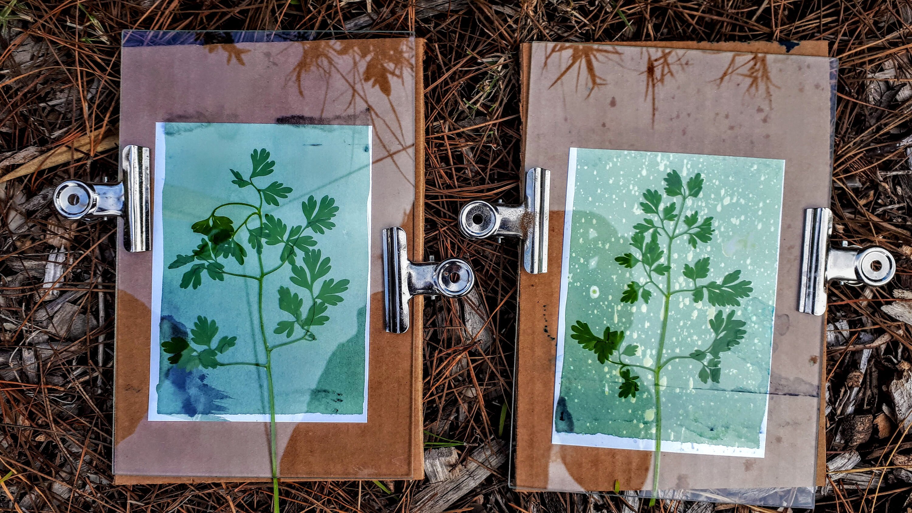 DIY 100ml Cyanotype Pack Solution Top up Kit - Etsy
