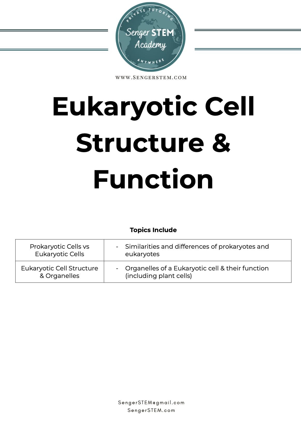 Eukaryotic Cell Structure & Function - Etsy