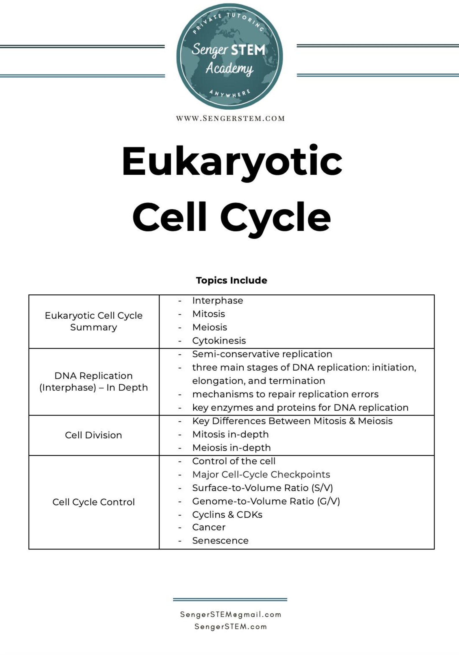 Eukaryotic Cell Cycle - Etsy
