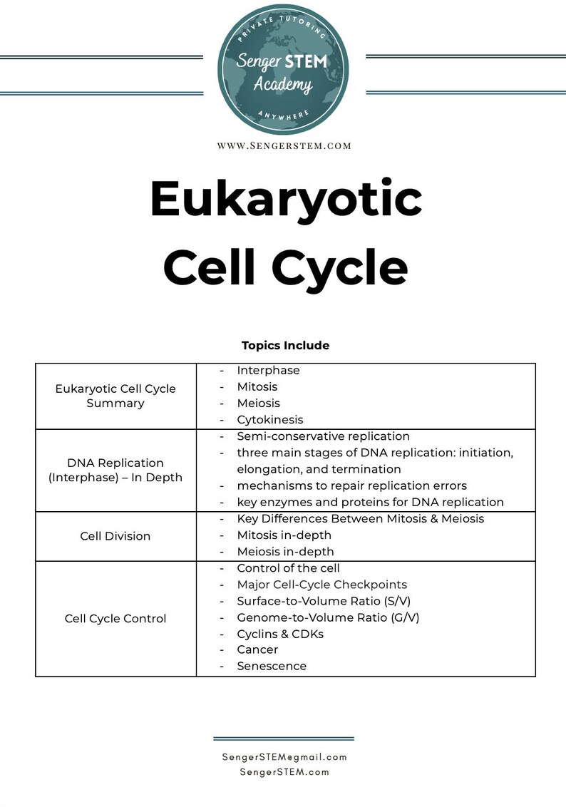 Eukaryotic Cell Cycle - Etsy