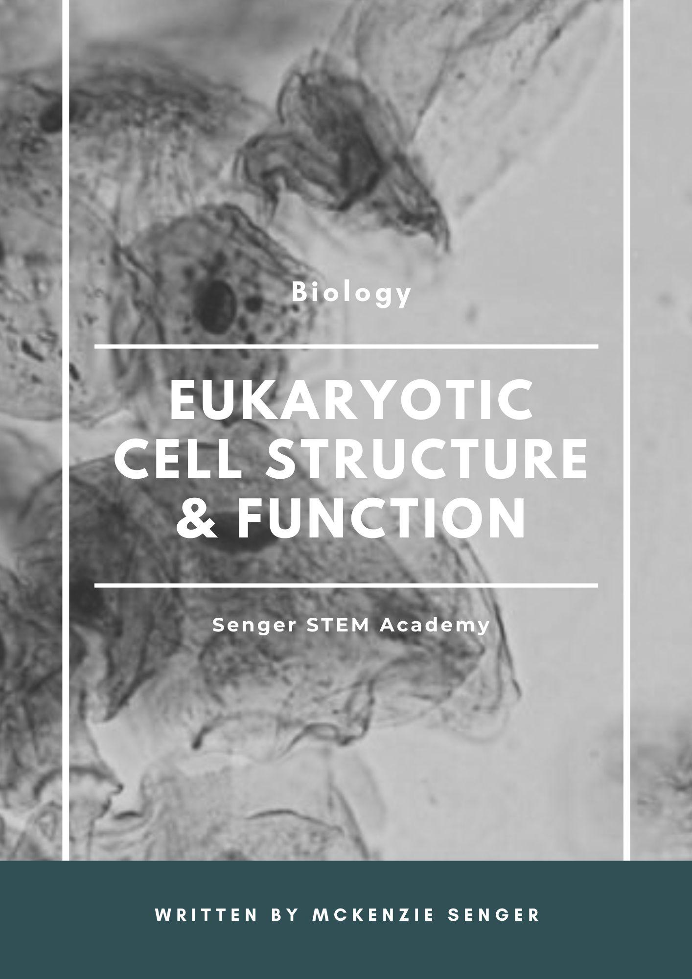 Eukaryotic Cell Structure & Function - Etsy