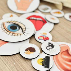 Five Senses Learning Board Five Senses Sorting Activity, 5 Senses ...