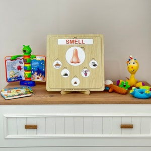 Five Senses Learning Board Five Senses Sorting Activity, 5 Senses ...