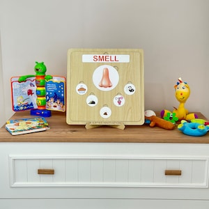 Five Senses Learning Board Five Senses Sorting Activity, 5 Senses ...