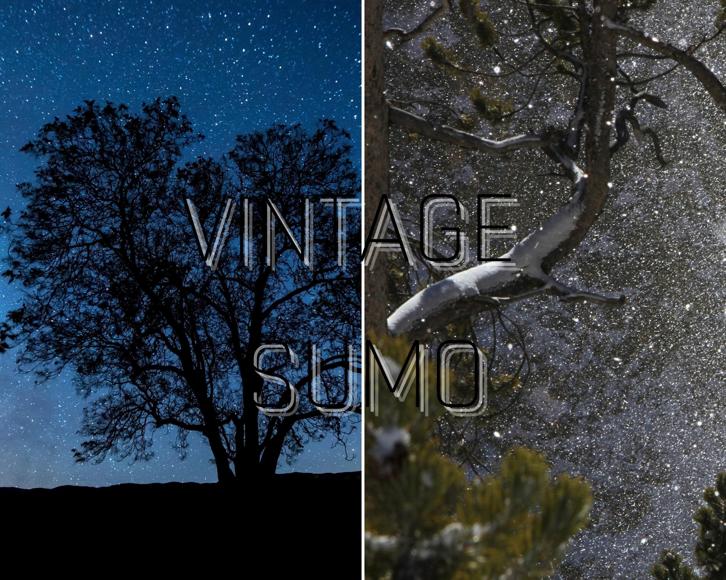 Night Sky Digital Paper Starry Night Digital Paper Glitter - Etsy