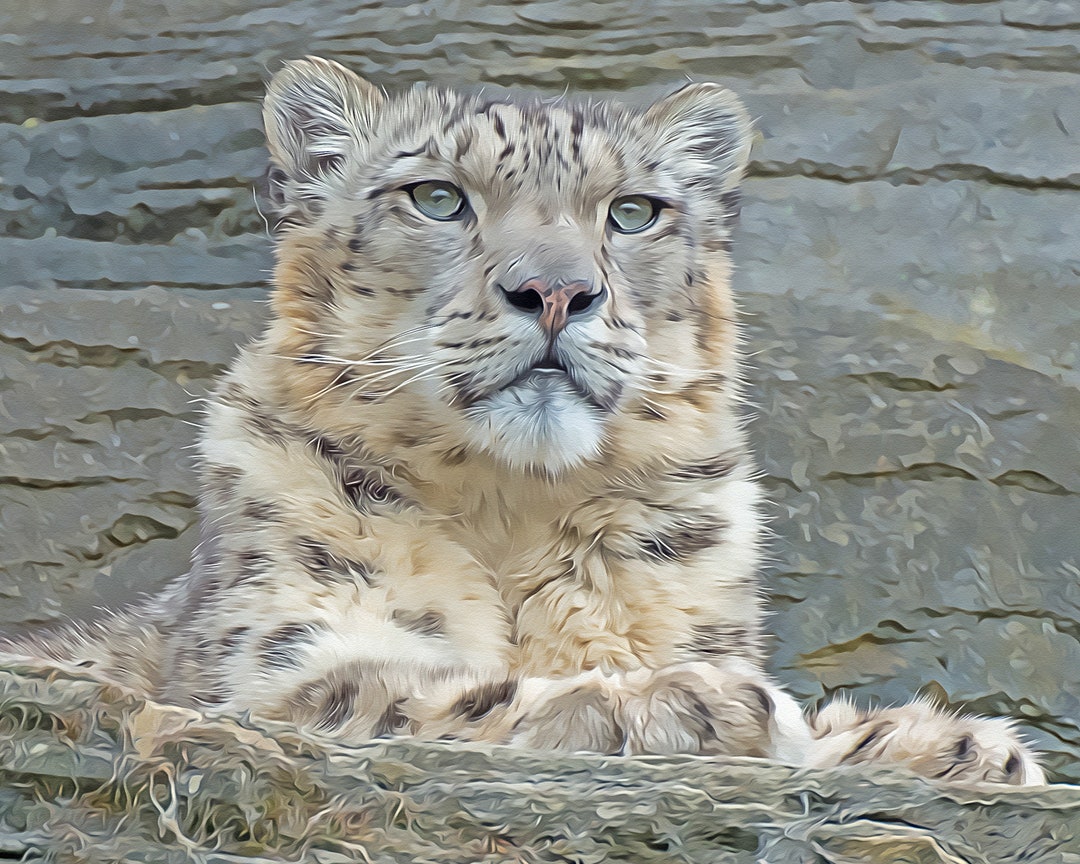 Snow Leopard Home Decor, Snow Leopard Painting, Snow Leopard Wall Decor ...