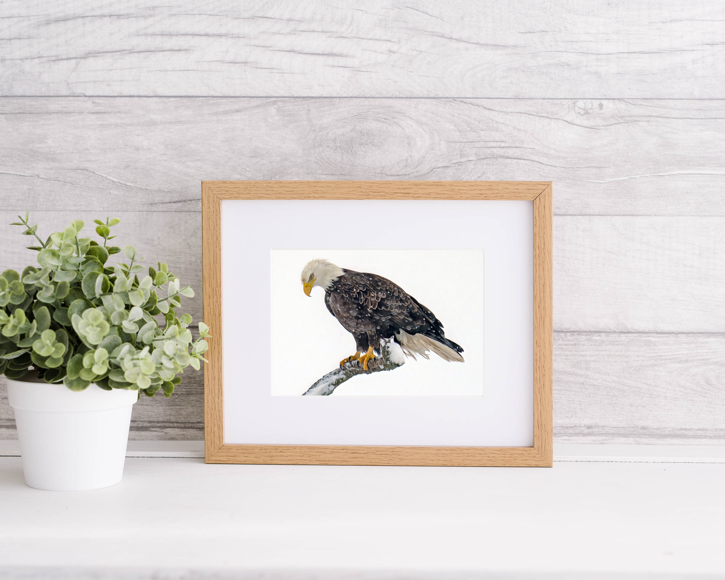 Bald Eagle Art Print Wall Decor American Eagle Painting Bird - Etsy UK