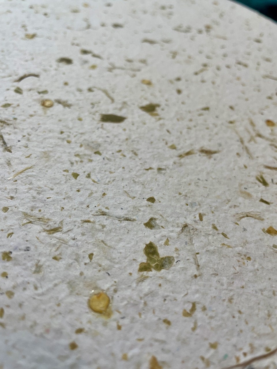 Handmade Recycled Plantable A4 Papers (natural Leafs, Flower Battles ...