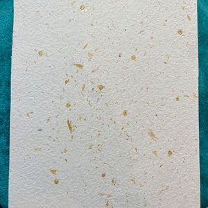 Handmade Recycled Plantable A4 Papers (natural Leafs, Flower Battles ...