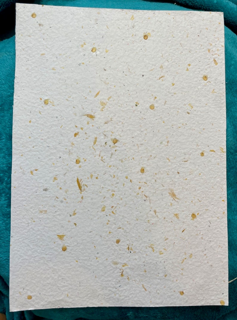 Handmade Recycled Plantable A4 Papers (natural Leafs, Flower Battles ...