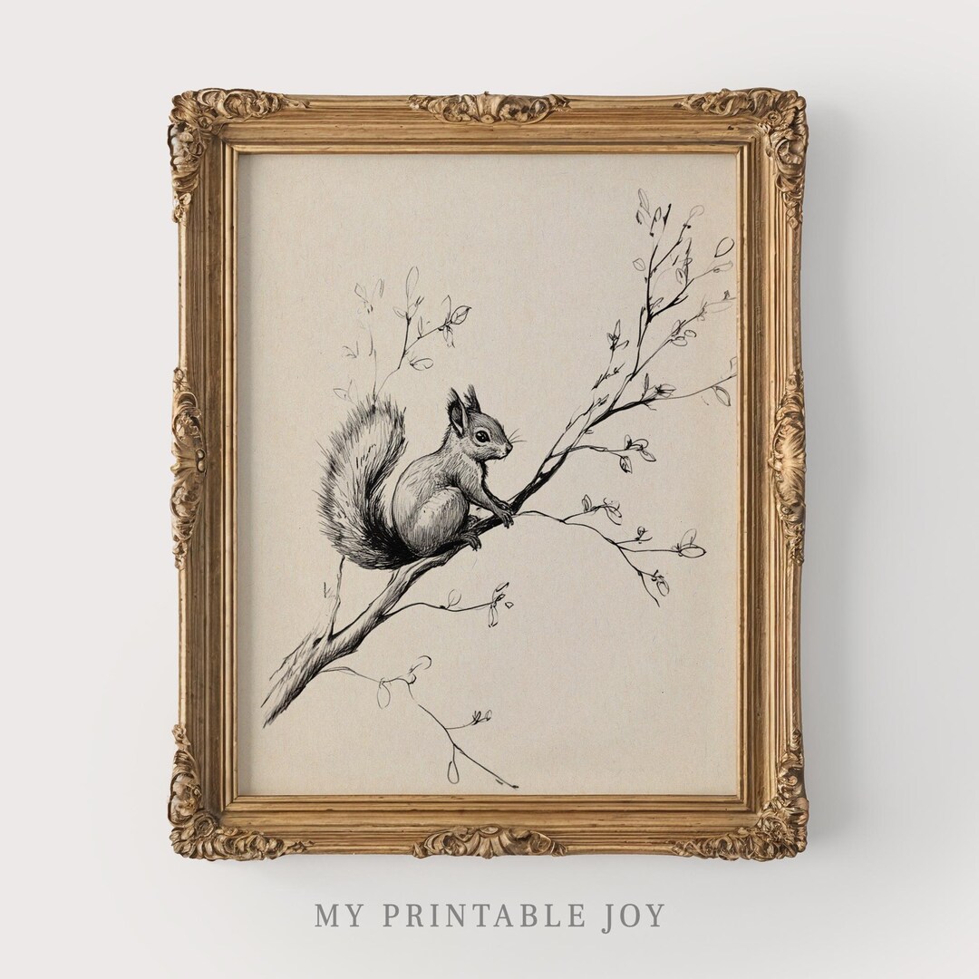 Squirrel on a Tree Sketch – Forest Animal Ink Drawing Rustic Woodland ...