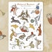 Sticker Sheet - MEDIEVAL MIGHTY MAIDENS - Funny Whimsical Historical ...