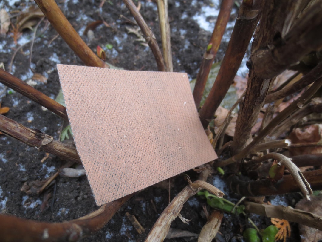 Healing Patches With Scorpion Venom Extract (energically Treated) - Etsy