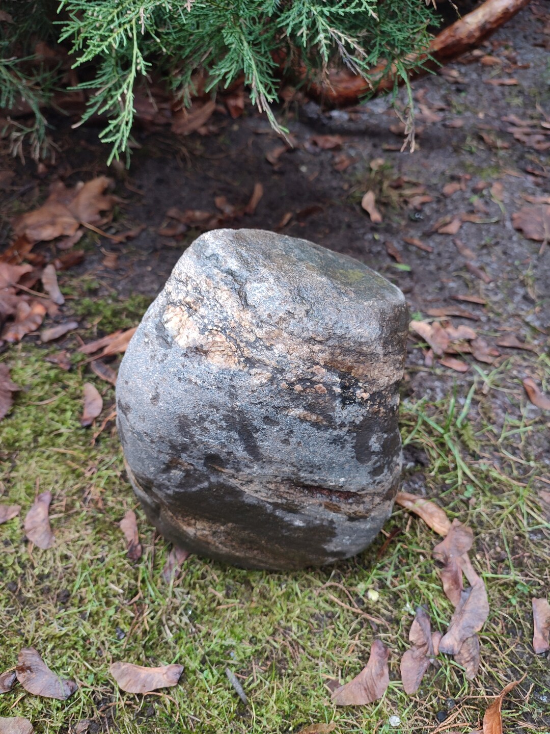 Holy Stone - Etsy