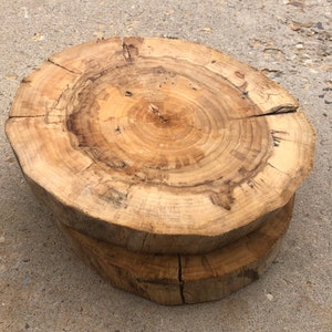 Small Cotton Wood Cookie Slabs, Circles and Rounds, 1 Foot Diamter - Etsy