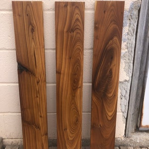 Russian Olive Lumber - Etsy