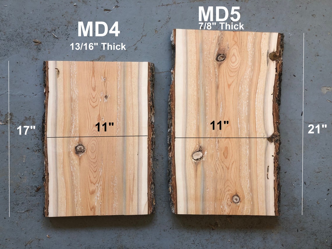 Douglas Fir Live Edge Mini Slabs - Etsy