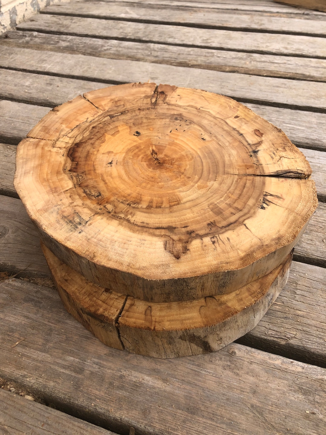 Small Cotton Wood Cookie Slabs, Circles and Rounds, 1 Foot Diamter - Etsy