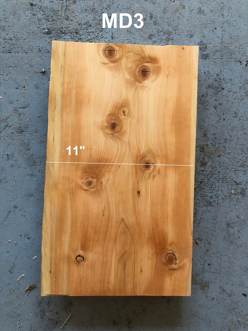 Douglas Fir Live Edge Mini Slabs - Etsy