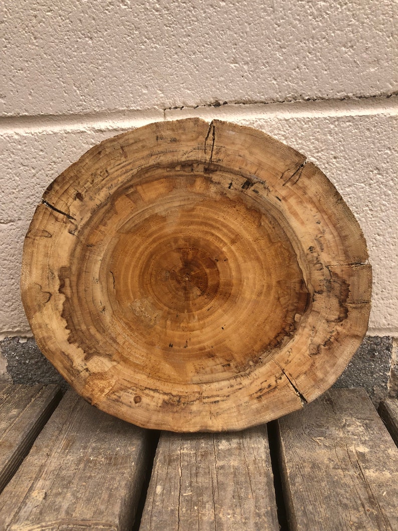 Small Cotton Wood Cookie Slabs, Circles and Rounds, 1 Foot Diamter - Etsy