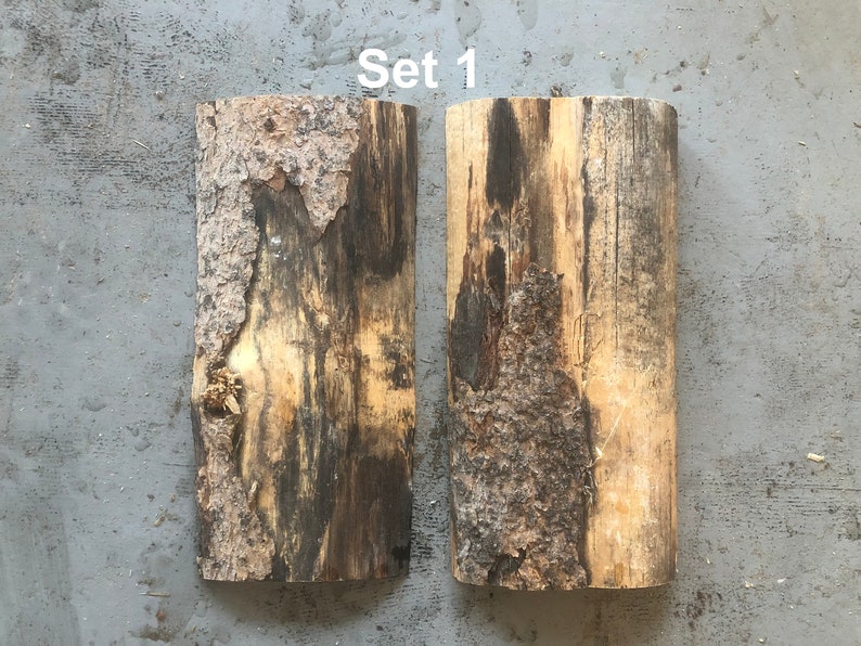 Blue Stain Pine Wood on the Outside of Logs - Etsy