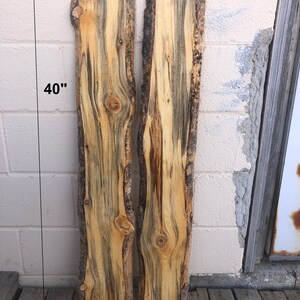 Thin Live Edge Blue Stain Boards - Etsy