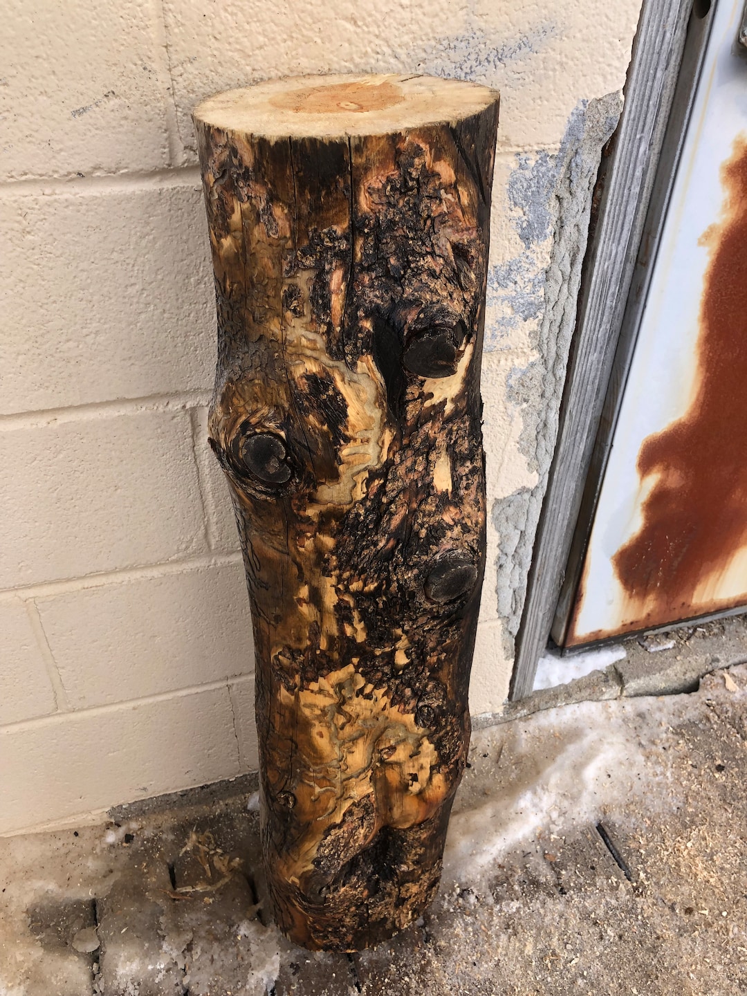 Wood Log With Character, Stylish Rustic Reclaimed Post, Beetle Tracked ...