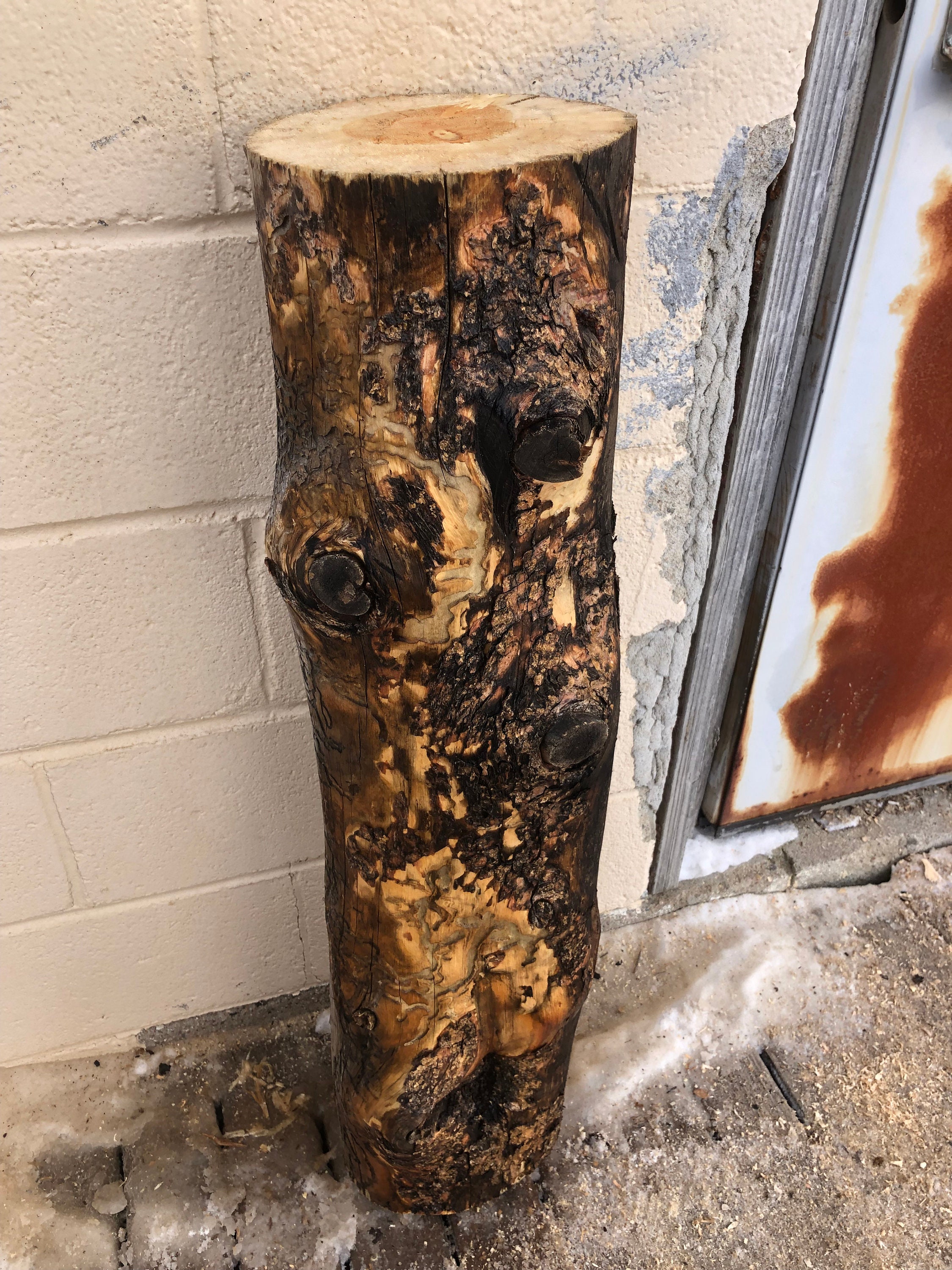 Wood Log With Character, Stylish Rustic Reclaimed Post, Beetle Tracked ...