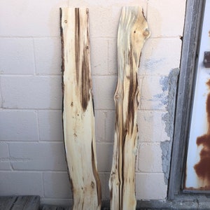 Thin Live Edge Blue Stain Boards - Etsy