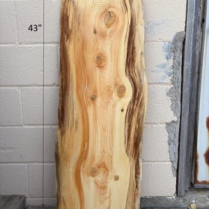 Beautiful Live Edge Slab, Spalting, Coffee Table Top Material, Natural ...