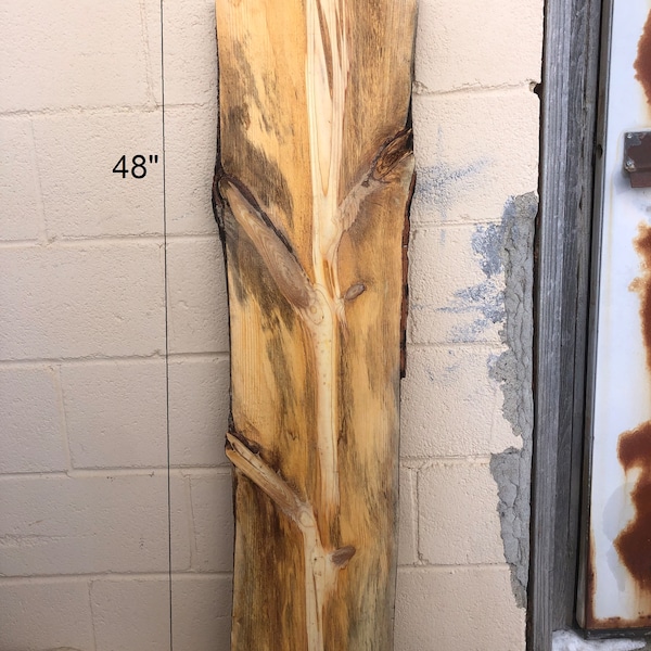 12 Inch Wood Slices - Etsy