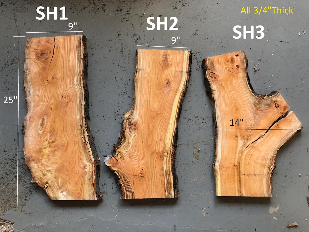 Small Little Pieces of Wood, Live Edge, Natural Irregular Bark Sides ...