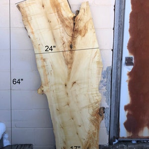 Box Elder Maple Live Edge Slabs, Creamy Lighter Colored Wood, Good Size ...