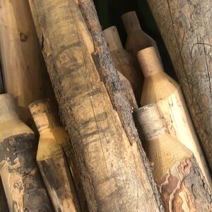 Hand-peeled Logs, Hewn Posts of Wood, Rustic Wooden Poles, Carved by ...