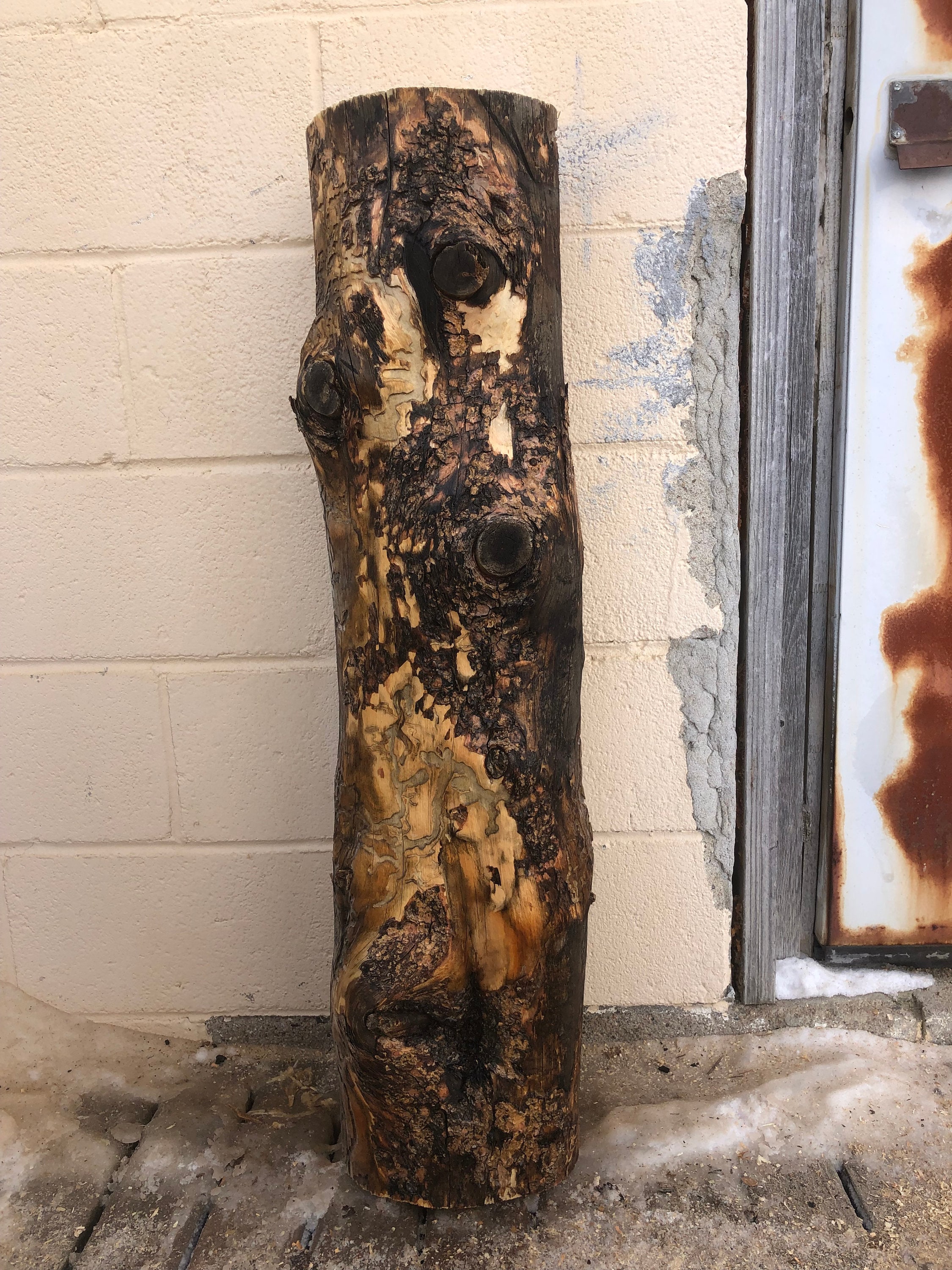 Wood Log With Character, Stylish Rustic Reclaimed Post, Beetle Tracked ...