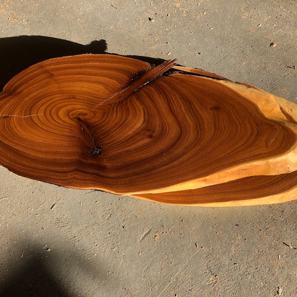 Bulk Wood Slices - Etsy