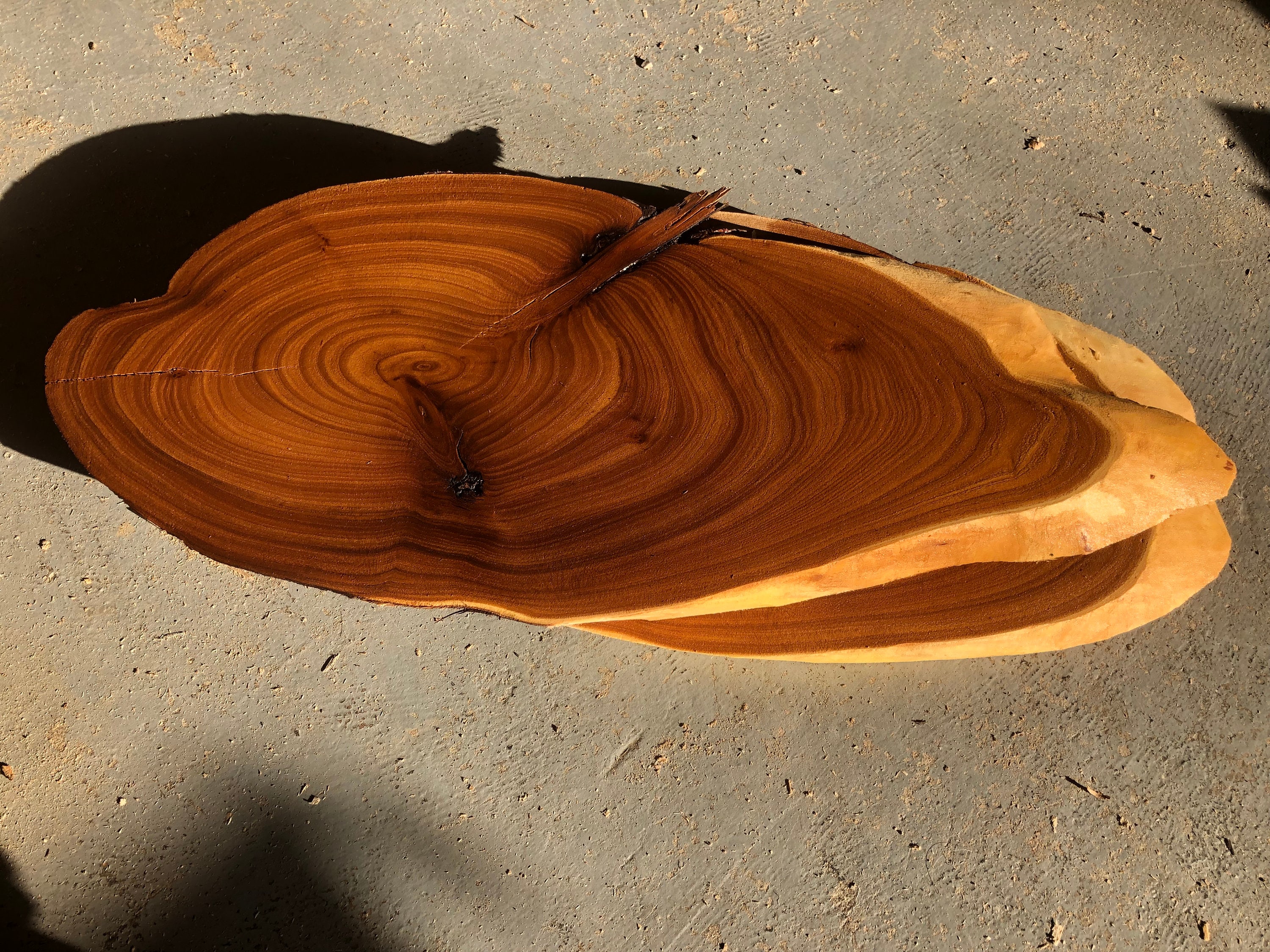 Decorative Round Wood Slabs