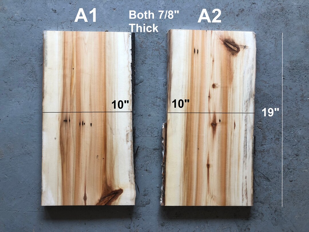 Live Edge Aspen Wood Slabs, Small Slices, Lighter-colored Gold Peach ...
