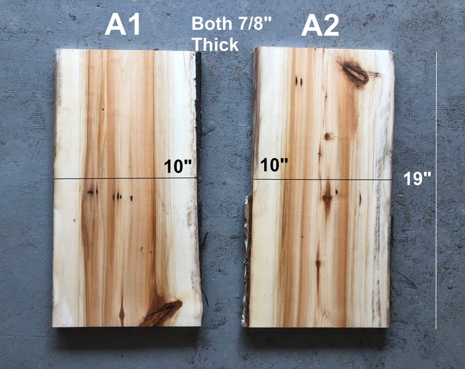 Live Edge Aspen Wood Slabs, Small Slices, Lighter-colored Gold Peach ...